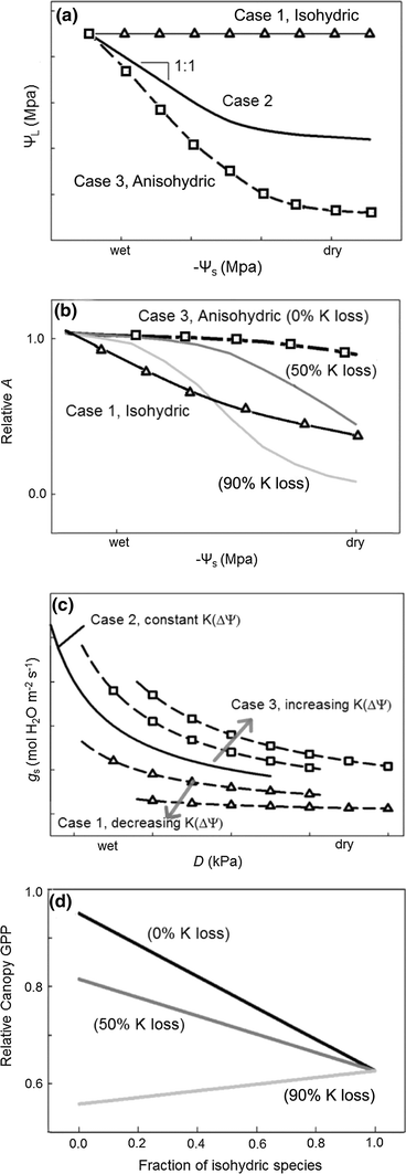 The role of isohydric and anisohydric species in determining ecosystem ...