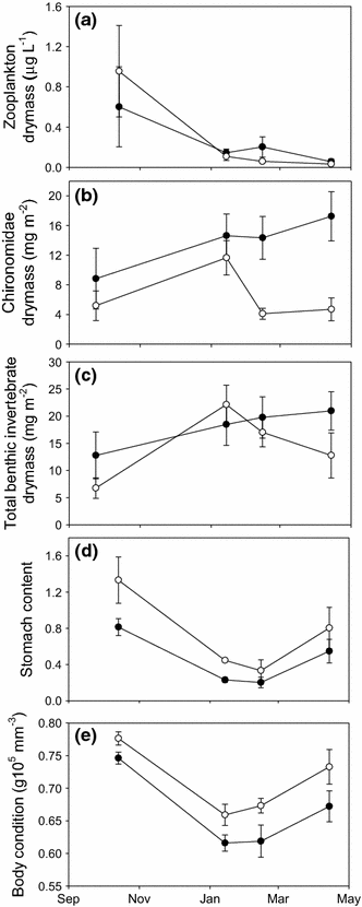 Brownification increases winter mortality in fish | SpringerLink