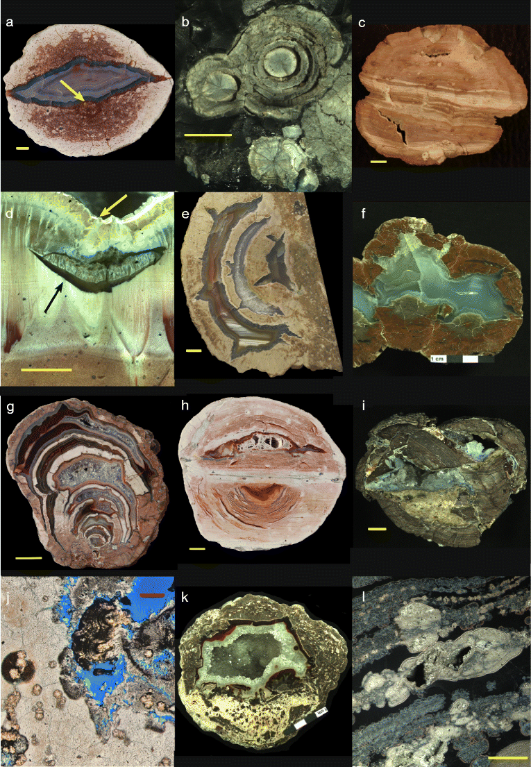 Spherulites and lithophysae—200 years of investigation on high ...
