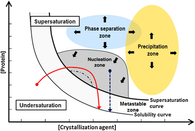 Large-scale crystallization of proteins for purification and ...