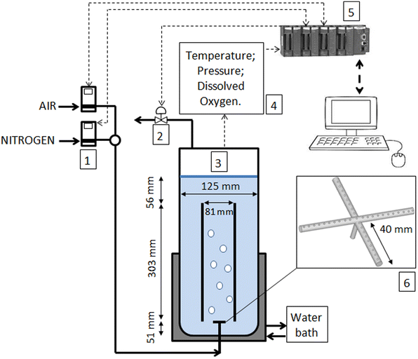 Oxygen transfer in a pressurized airlift bioreactor | SpringerLink