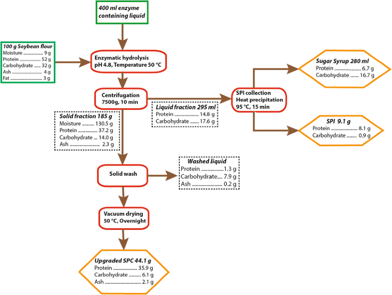 Soybean bio-refinery platform: enzymatic process for production of soy ...