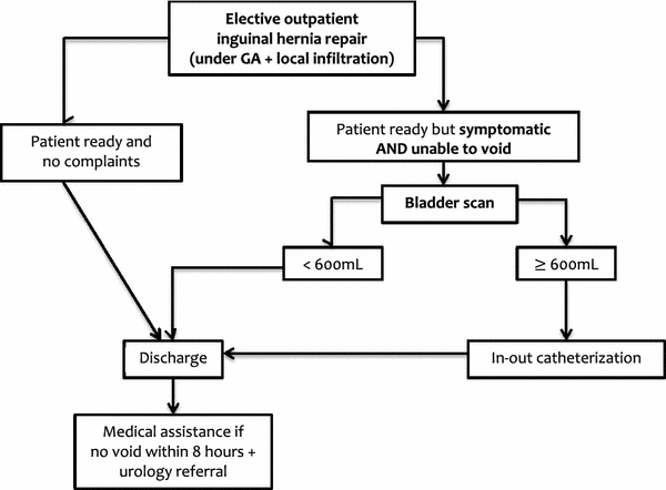 Impact of a bladder scan protocol on discharge efficiency within a care ...