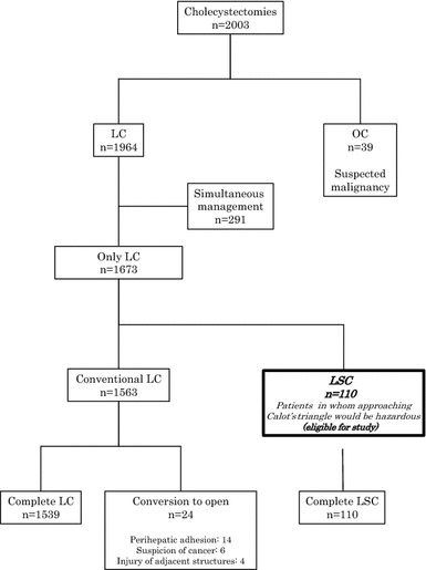 Laparoscopic subtotal cholecystectomy for severe cholecystitis ...