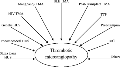 The thrombotic microangiopathies | SpringerLink