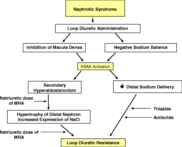 The nephrotic syndrome: pathogenesis and treatment of edema formation ...