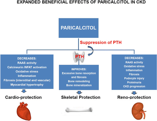Oral paricalcitol: expanding therapeutic options for pediatric chronic ...