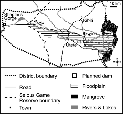 The Rufiji River flood: plague or blessing? | SpringerLink