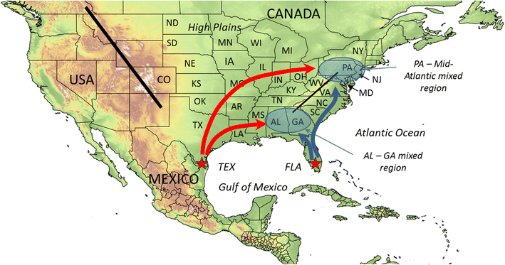 Modeling seasonal migration of fall armyworm moths | SpringerLink