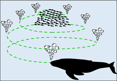 Optimizing connection weights in neural networks using the whale optimization algorithm ...