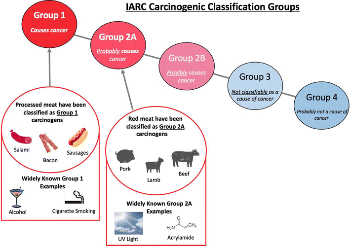 A critical overview on the biological and molecular features of red and ...