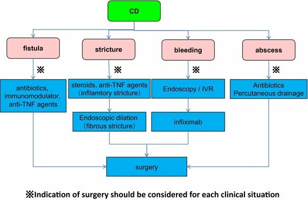 Evidence-based clinical practice guidelines for inflammatory bowel ...