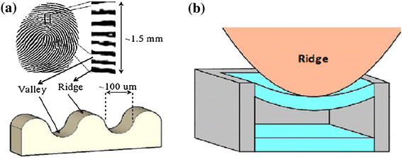 A high sensitive MEMS capacitive fingerprint sensor using slotted ...