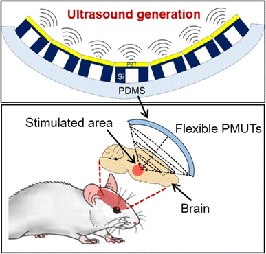 Flexible piezoelectric micromachined ultrasonic transducer (pMUT) for ...