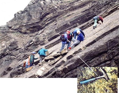 Sheeting Joints: Characterisation, Shear Strength and Engineering ...