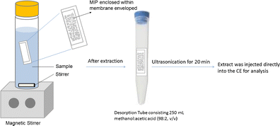 Micro-solid phase extraction of ochratoxin A, and its determination in ...