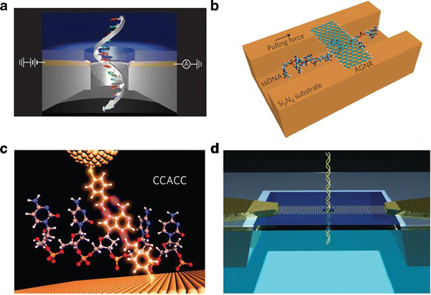 Solid-state nanopore-based DNA single molecule detection and sequencing | SpringerLink