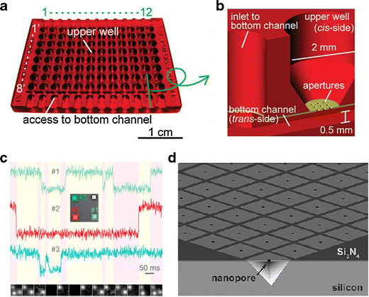 Solid-state nanopore-based DNA single molecule detection and sequencing | SpringerLink