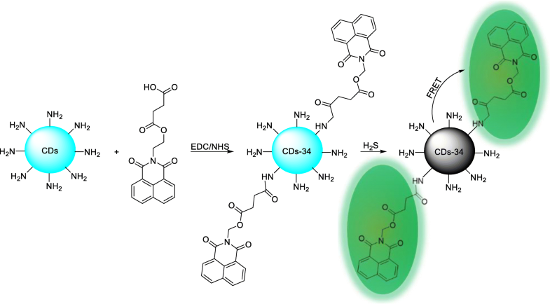 Surface modification and chemical functionalization of carbon dots: a ...
