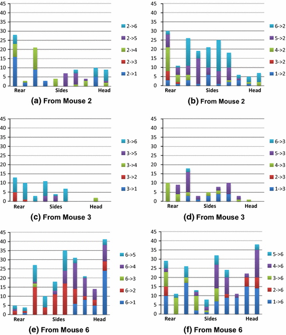 Mouse Social Interaction Test (MoST): a quantitative computer automated ...