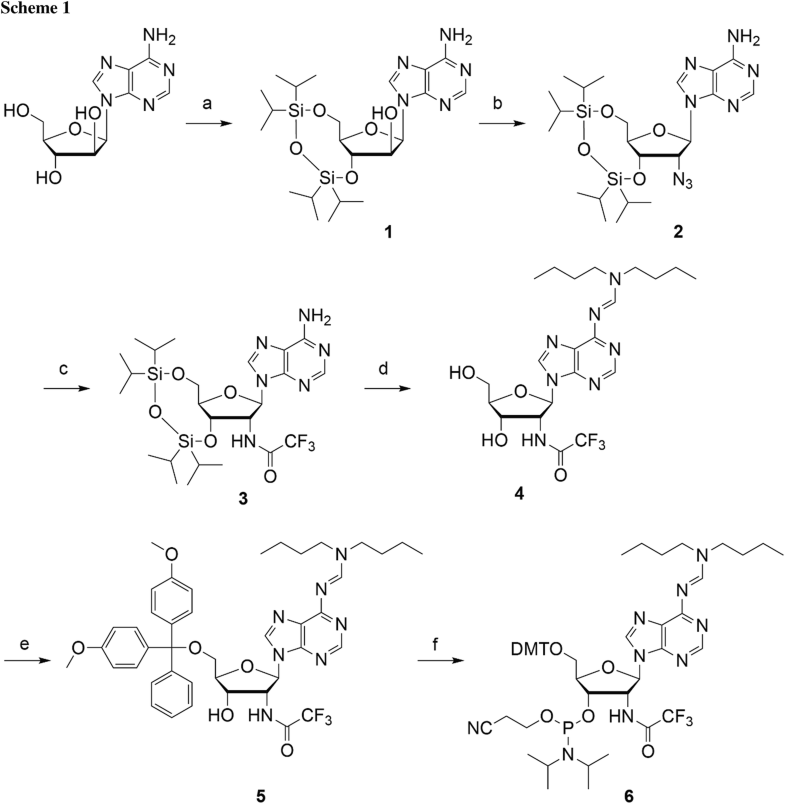 Efficient access to N-trifluoroacetylated 2′-amino-2′-deoxyadenosine ...