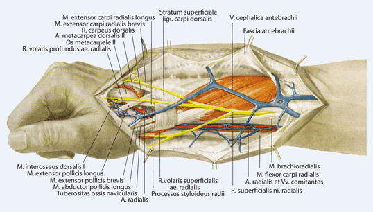 Tabatière-Fistel | SpringerLink