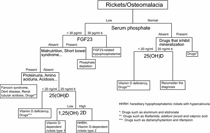 Pathogenesis and diagnostic criteria for rickets and osteomalacia ...