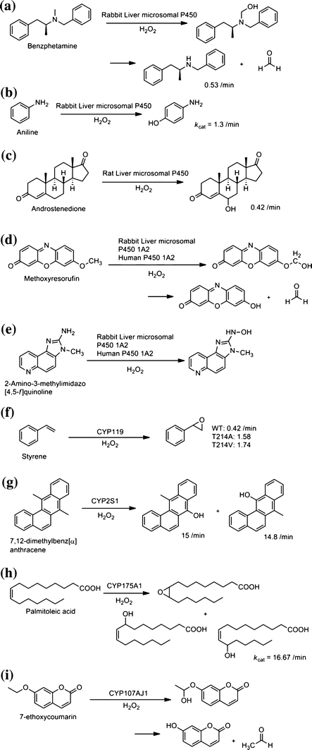 Peroxygenase reactions catalyzed by cytochromes P450 | SpringerLink
