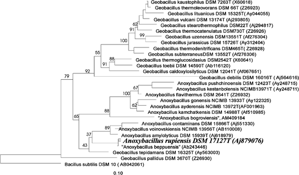 Anoxybacillus rupiensis sp. Nov., a novel thermophilic bacterium ...