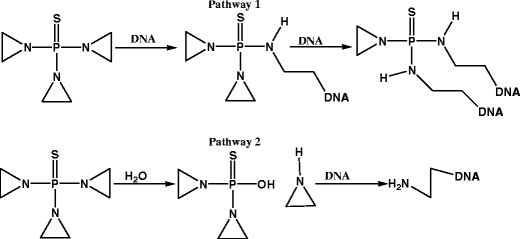 Some physicochemical properties of the antitumor drug thiotepa and its ...