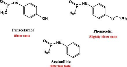 Computer-assisted design for paracetamol masking bitter taste prodrugs ...