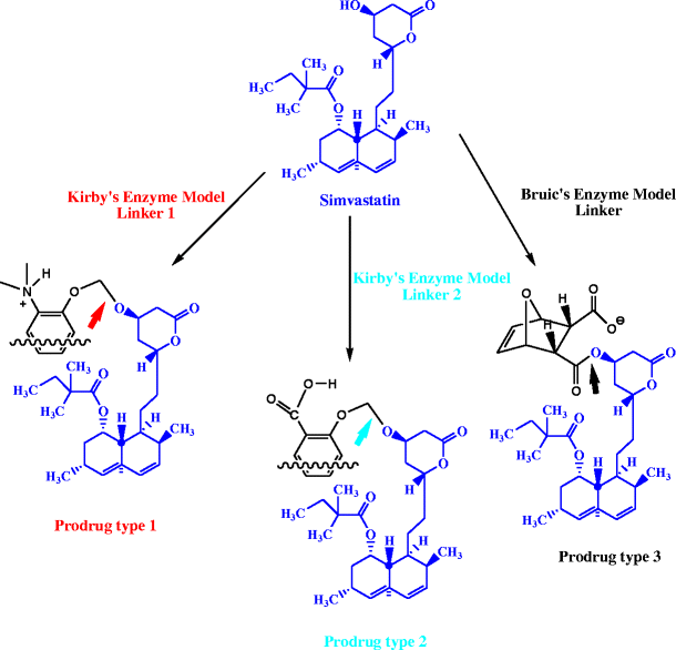 Computationally designed prodrugs of statins based on Kirby’s enzyme ...