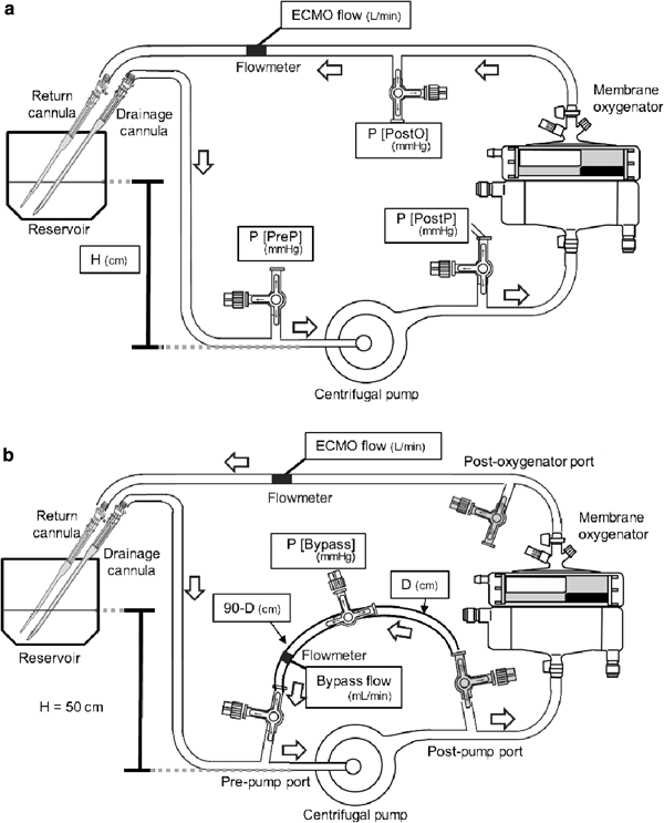 A safe procedure for connecting a continuous renal replacement therapy ...