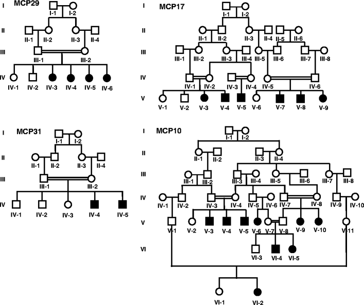 Genetic studies of autosomal recessive primary microcephaly in 33 ...