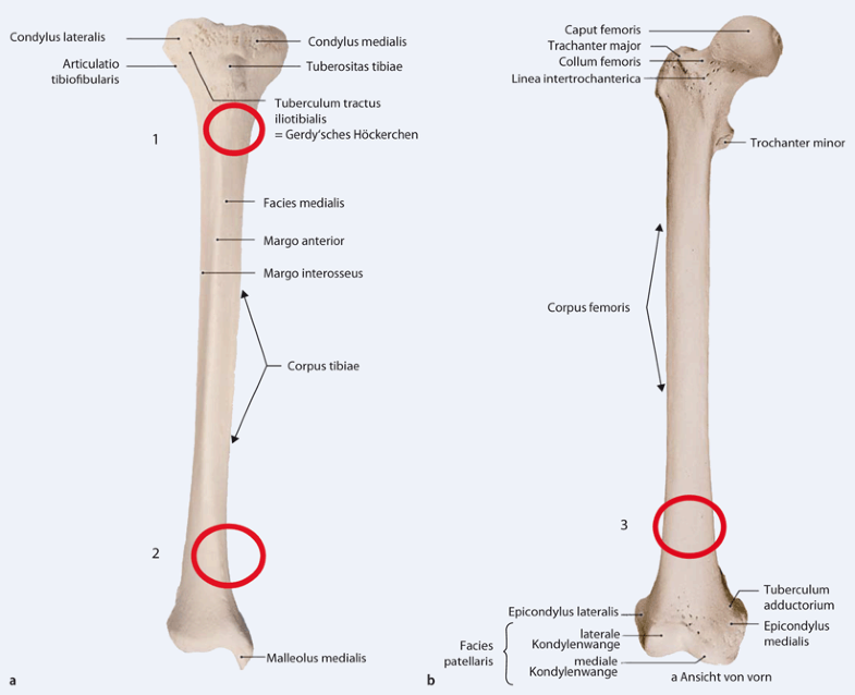 Invasive Techniken in der Notfallmedizin | SpringerLink