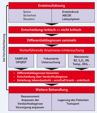 Advanced Medical Life Support (AMLS) | SpringerLink