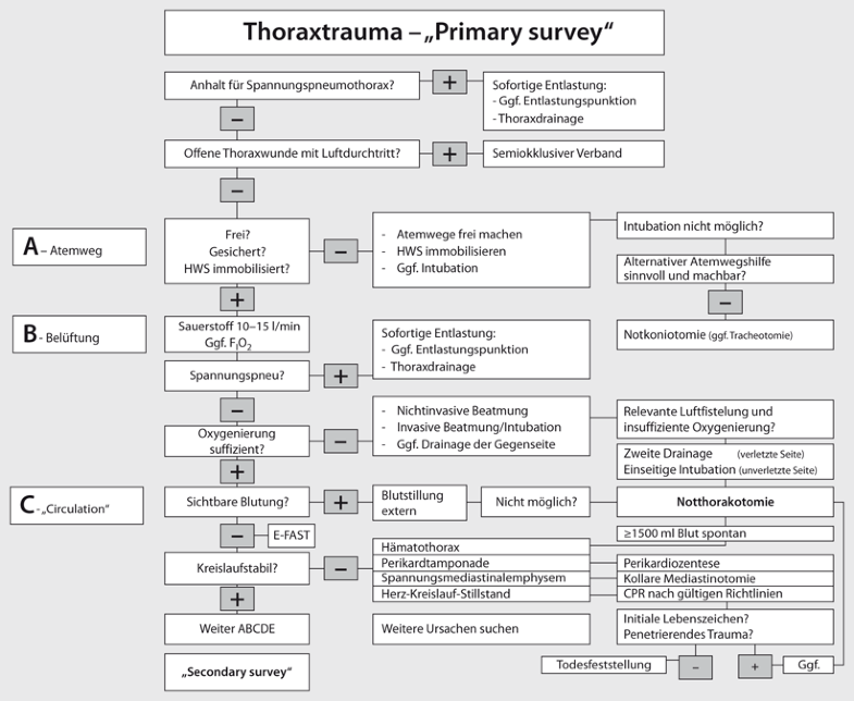 Erstversorgung des Patienten mit schwerem Thoraxtrauma | SpringerLink