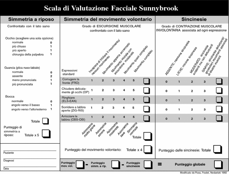 Validation of the Italian version of the Sunnybrook Facial Grading ...