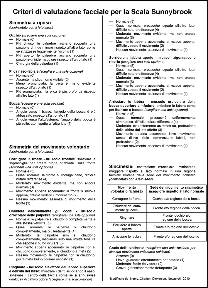 Validation of the Italian version of the Sunnybrook Facial Grading ...