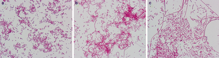 Minimum requirements for a rapid and reliable routine identification ...