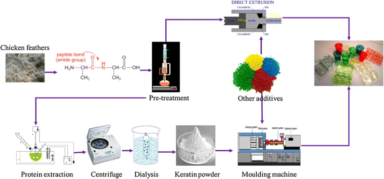 Valorisation of chicken feathers: a review on recycling and recovery ...