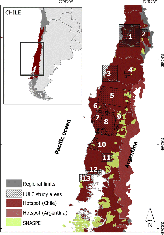 Native forest loss in the Chilean biodiversity hotspot: revealing the ...