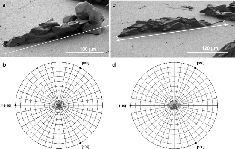 Effect of Coccolith Polysaccharides Isolated from the Coccolithophorid ...