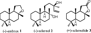 Biohydroxylation of (−)-Ambrox®, (−)-Sclareol, and (+)-Sclareolide by ...