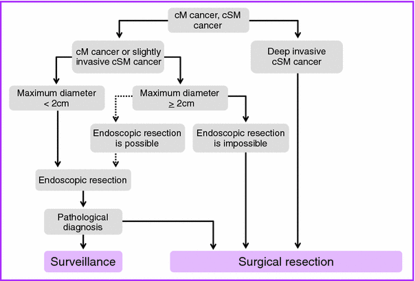 Japanese Society for Cancer of the Colon and Rectum (JSCCR) guidelines ...