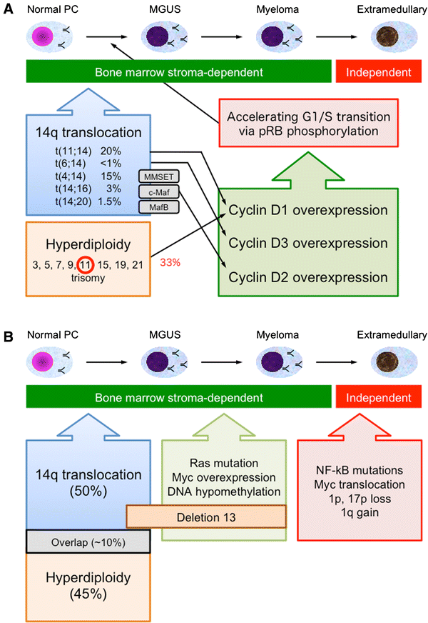 Molecular pathogenesis of multiple myeloma | SpringerLink