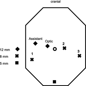 Robotic-assisted and laparoscopic ventral rectopexy in the treatment of ...
