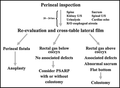 European consensus meeting of ARM-Net members concerning diagnosis and ...