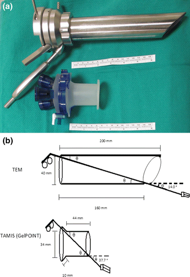 Critical concepts and important anatomic landmarks encountered during ...