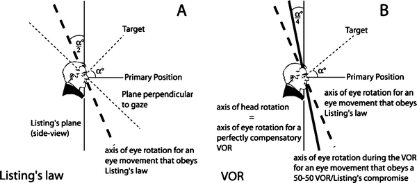 Axis of Eye Rotation Changes with Head-Pitch Orientation during Head ...